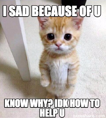 Meme Creator - I SAD BECAUSE OF U KNOW WHY? IDK how to help u Meme ...